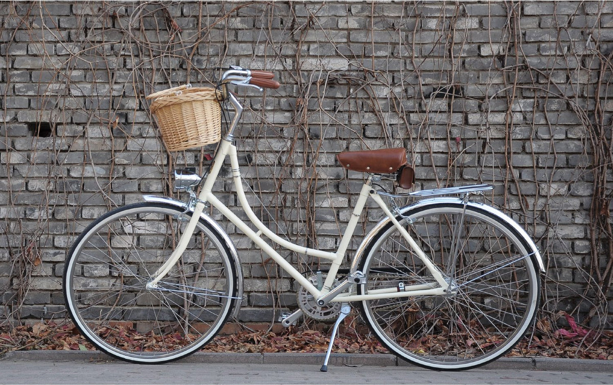 GAZELLE CLASSIC 26 inch 3 SPEED With Ratten Basket – Pedal Werkz