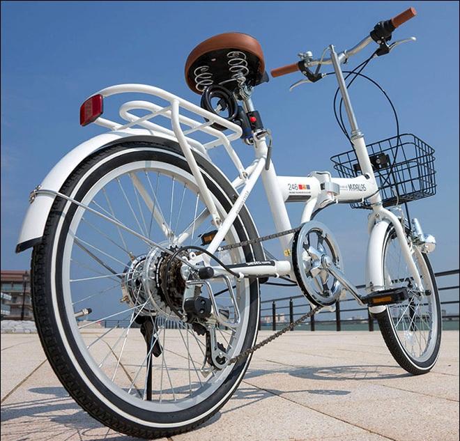 MYPALLAS M246 20 INCH FOLDABLE 6 SPEED BICYCLE（Free Installation With ...